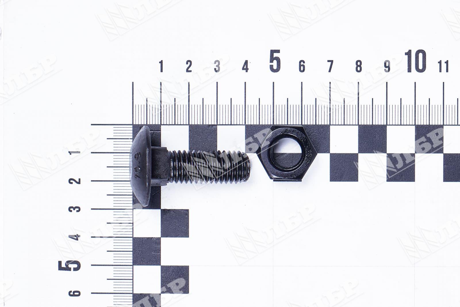 Болт с гайкой M12x35-10,9 DIN603 1235109603GT купить, цена - 55