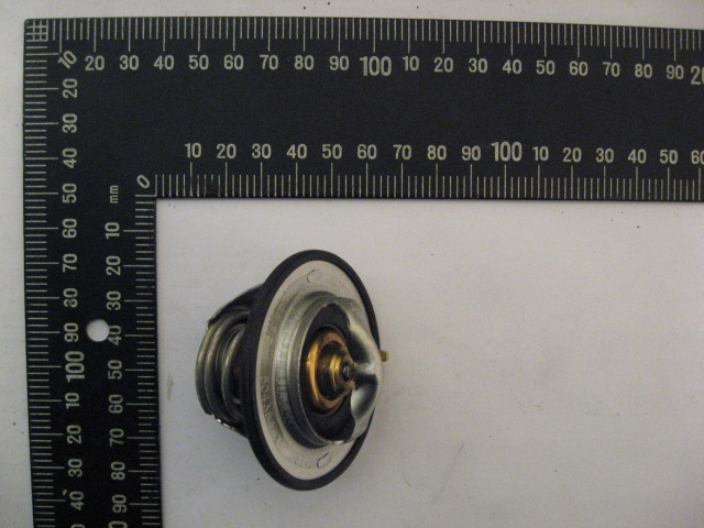 Термостат 1F.504384724 купить, цена - 4380