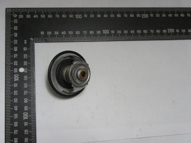 Термостат 504384724 купить